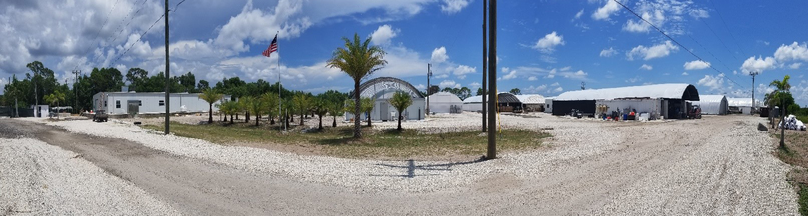 Our Company - American Penaeid